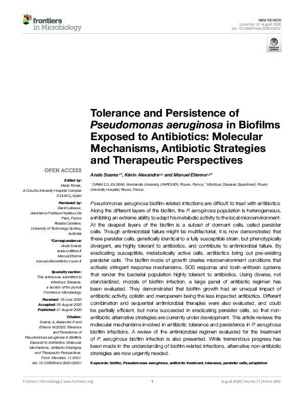 (PDF) Tolerance and Persistence of Pseudomonas aeruginosa in Biofilms Exposed to Antibiotics ...