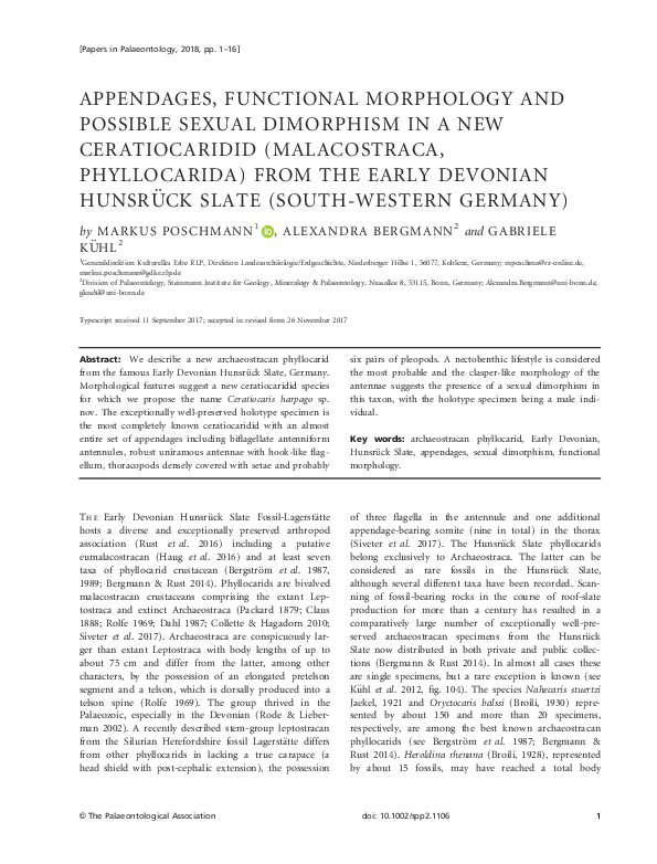 (PDF) Appendages, functional morphology and possible sexual dimorphism ...