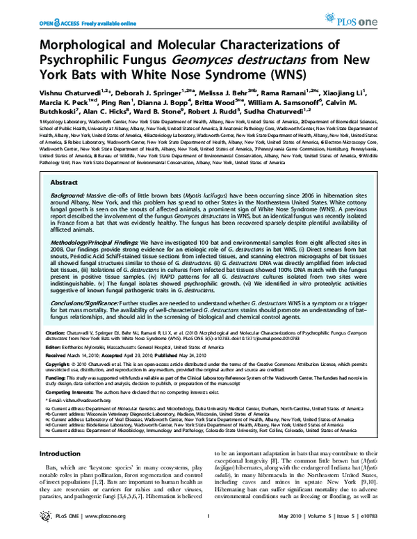 (PDF) Morphological and Molecular Characterizations of Psychrophilic ...