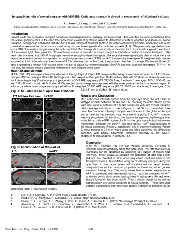 (PDF) Imaging biophysics of axonal transport with MEMRI: Optic tract ...
