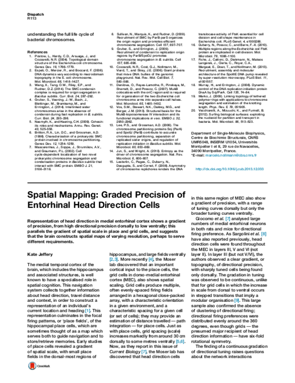(PDF) Spatial Mapping: Graded Precision of Entorhinal Head Direction Cells