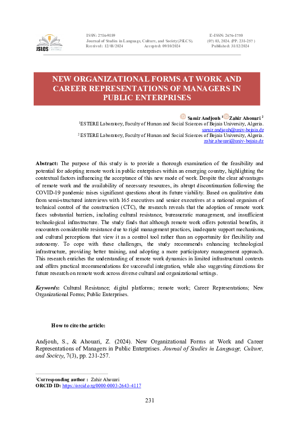 (PDF) New organizational forms at work and career representations of ...