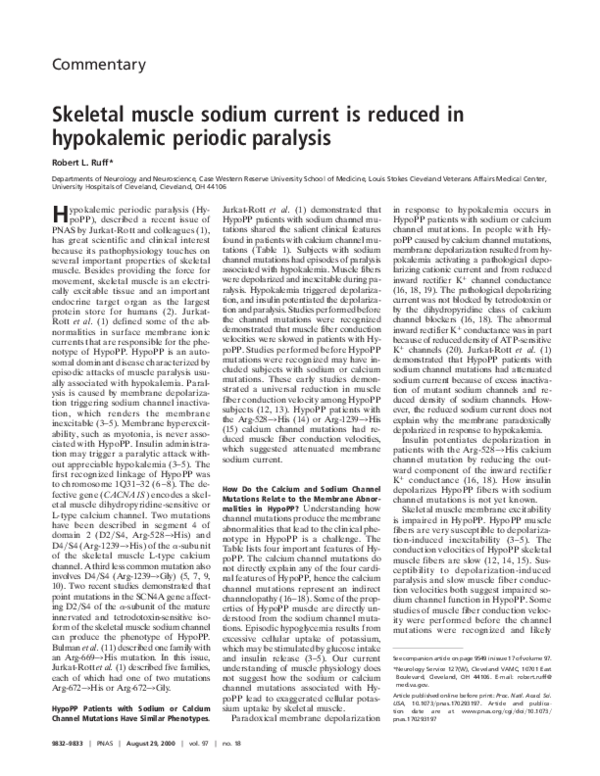 (PDF) Skeletal muscle sodium current is reduced in hypokalemic periodic ...