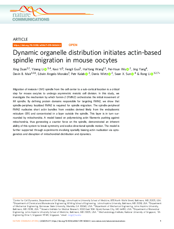 (PDF) Dynamic organelle distribution initiates actin-based spindle ...