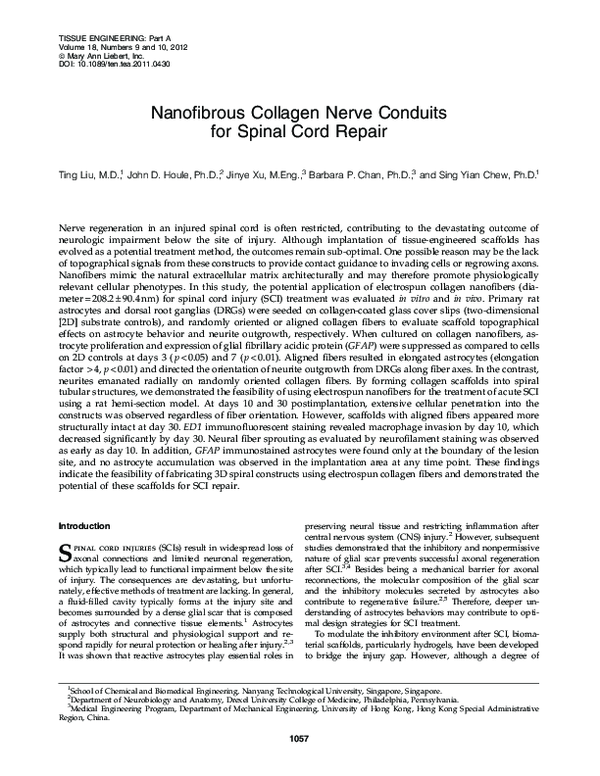 (PDF) Nanofibrous Collagen Nerve Conduits for Spinal Cord Repair