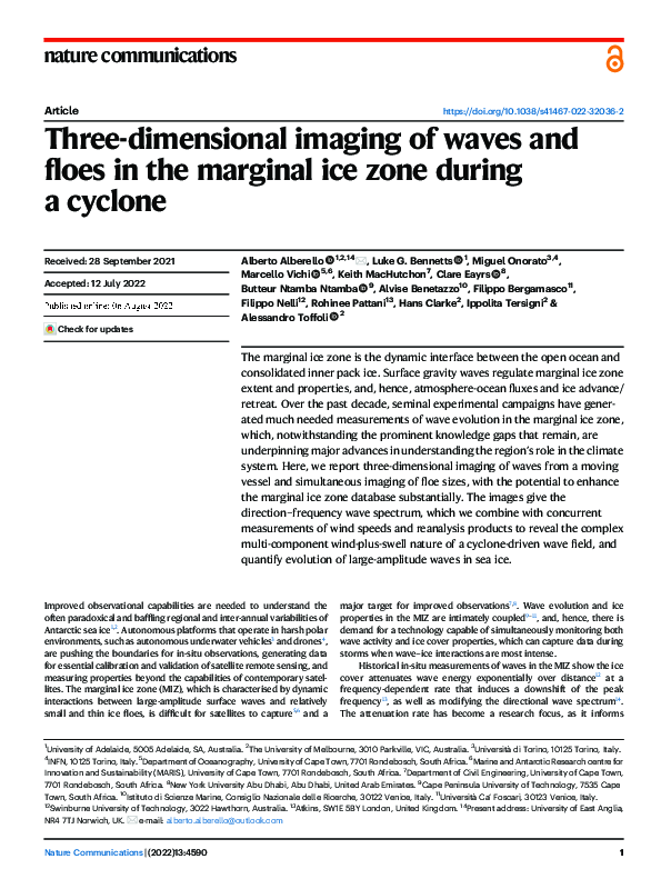 (PDF) Three-dimensional imaging of waves and floes in the marginal ice ...