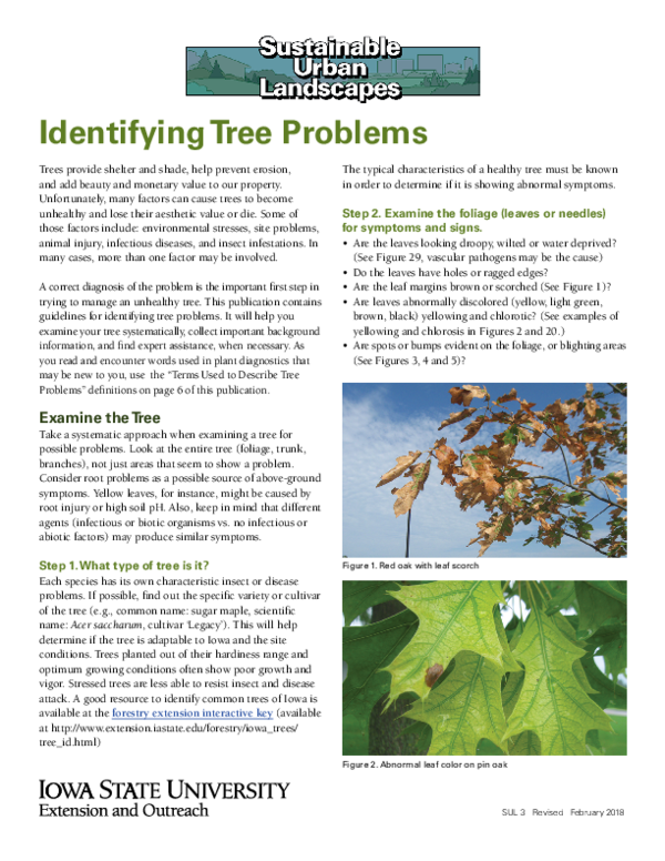 (PDF) Identifying Tree Problems - Sustainable Urban Landscapes