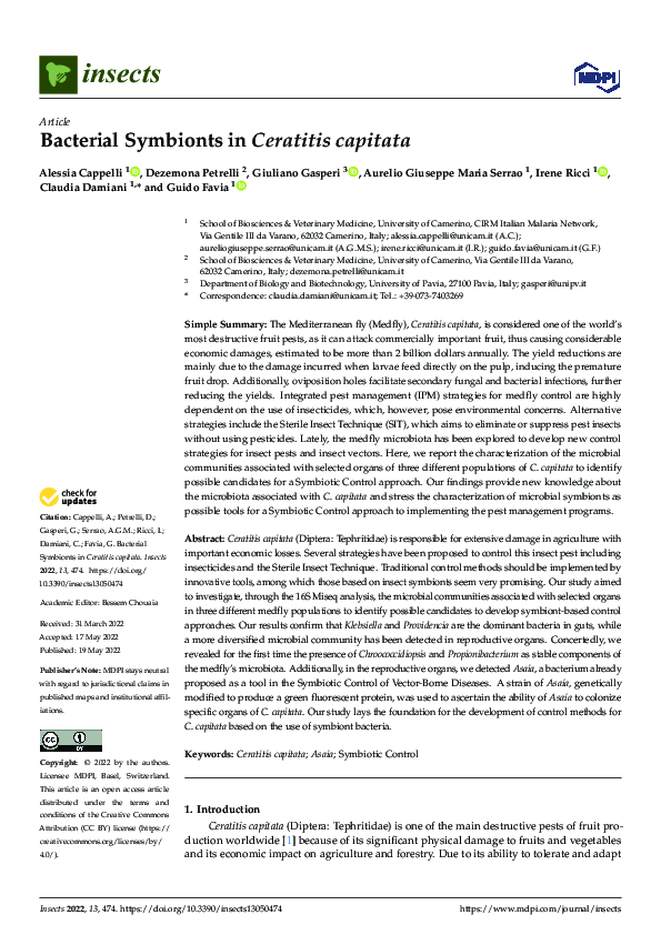 (PDF) Bacterial Symbionts in Ceratitis capitata