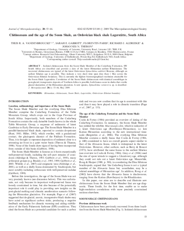 (PDF) Chitinozoans and the age of the Soom Shale, an Ordovician black ...