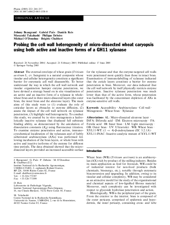 (PDF) Probing the cell wall heterogeneity of micro-dissected wheat ...