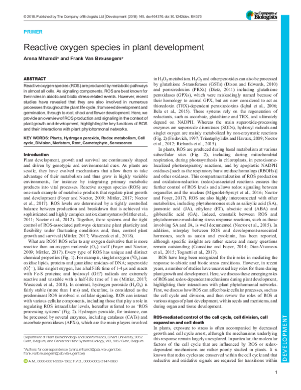 (PDF) Reactive oxygen species in plant development