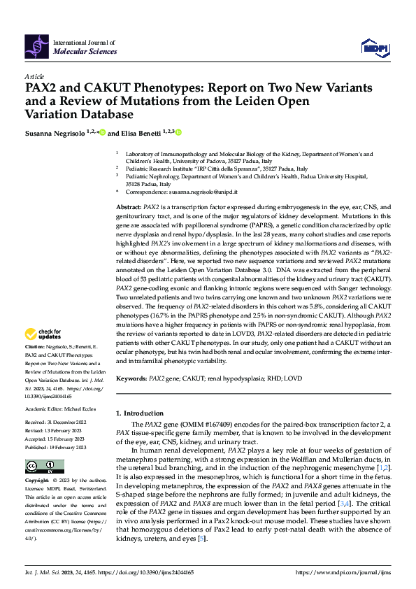 (PDF) PAX2 and CAKUT Phenotypes: Report on Two New Variants and a ...