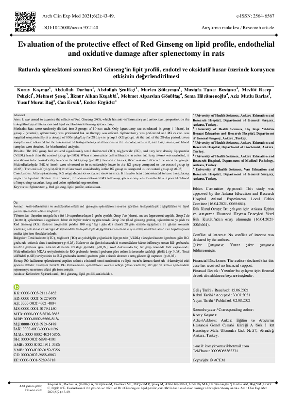 (PDF) Ratlarda Splenektomi Sonrası Red Ginsengin Lipit Profili, Endotel ...
