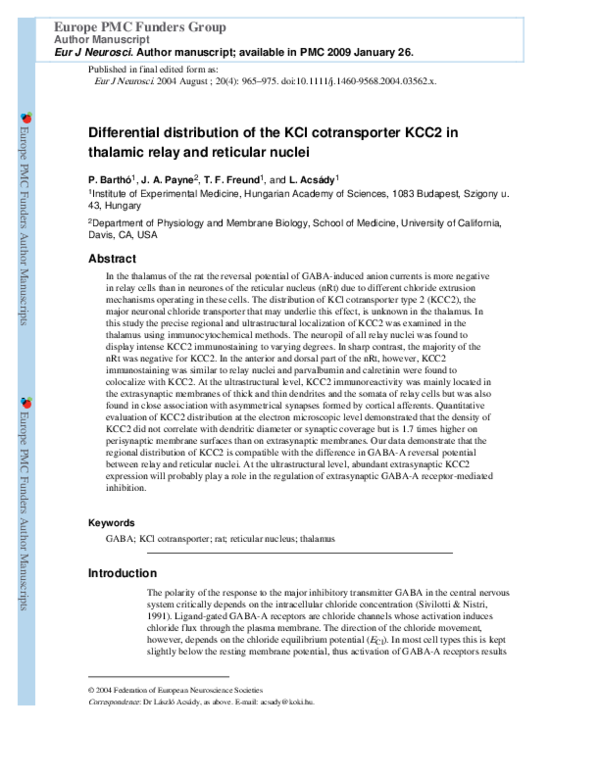(PDF) Differential distribution of the KCl cotransporter KCC2 in ...