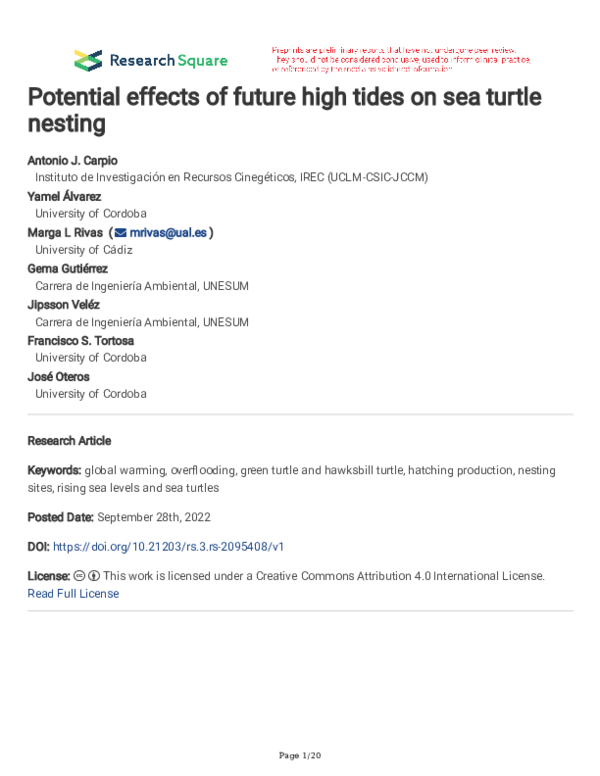 (PDF) Potential effects of future high tides on sea turtle nesting