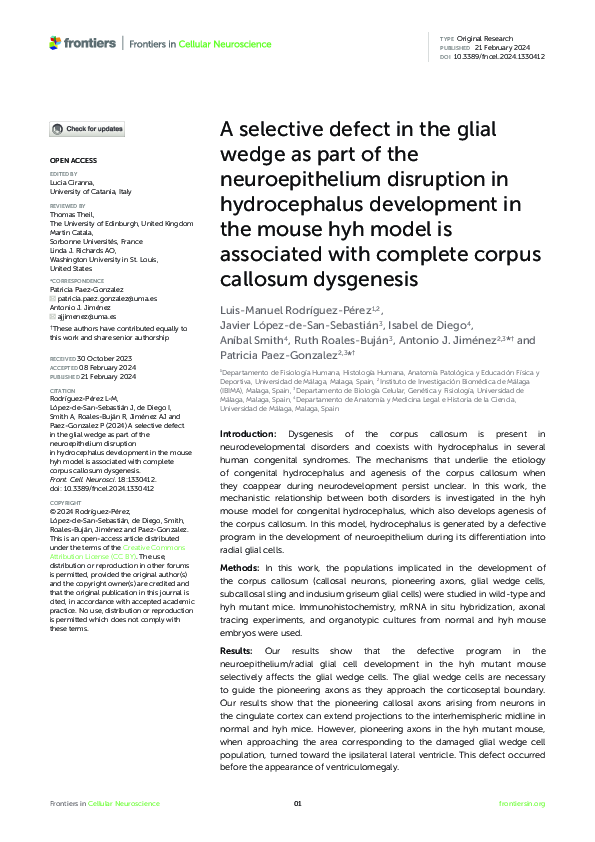 (PDF) Glial Wedge Defect in Hydrocephalus and Dysgenesis