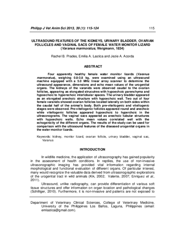 (PDF) ULTRASOUND FEATURES OF THE KIDNEYS, URINARY BLADDER, OVARIAN ...