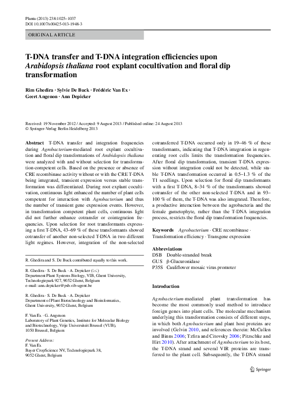 (PDF) T-DNA transfer and T-DNA integration efficiencies upon ...