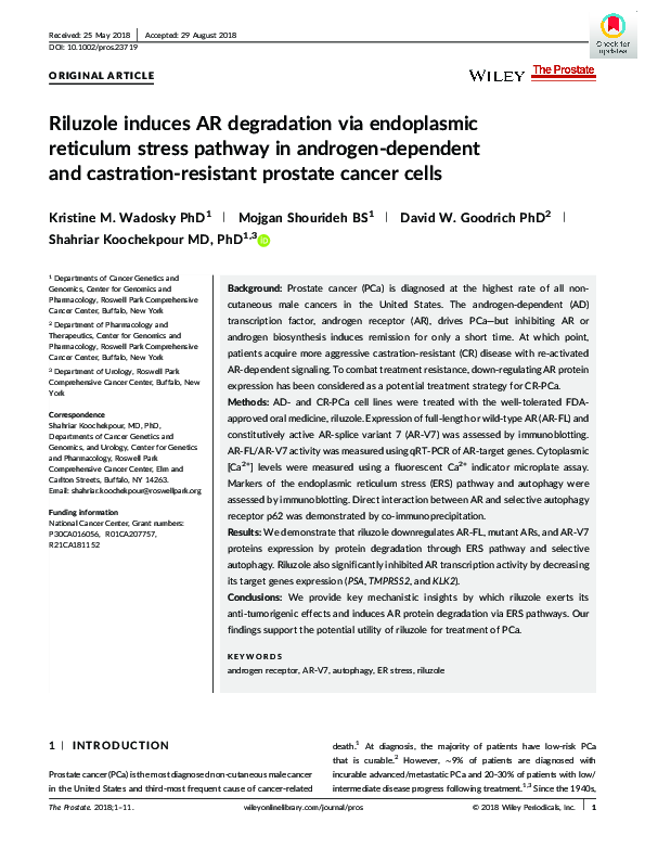 (PDF) Riluzole induces AR degradation via endoplasmic reticulum stress ...