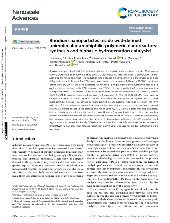 (PDF) Rhodium nanoparticles inside well-defined unimolecular amphiphilic polymeric nanoreactors ...
