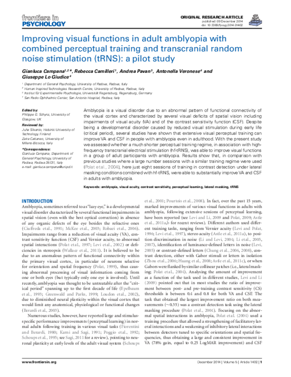(PDF) Enhancing Adult Amblyopia via Training and tRNS