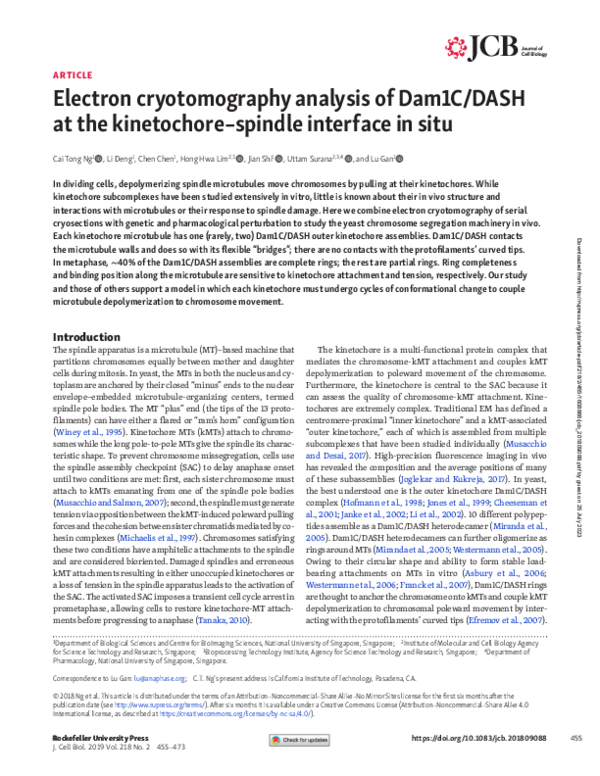 (PDF) Electron cryotomography analysis of Dam1C/DASH at the kinetochore ...