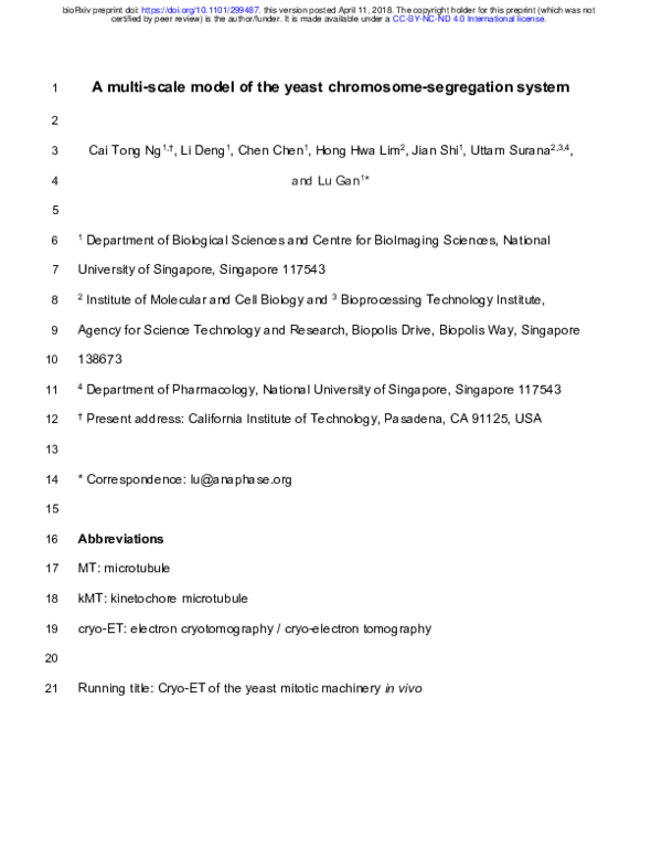 (PDF) A multi-scale model of the yeast chromosome-segregation system