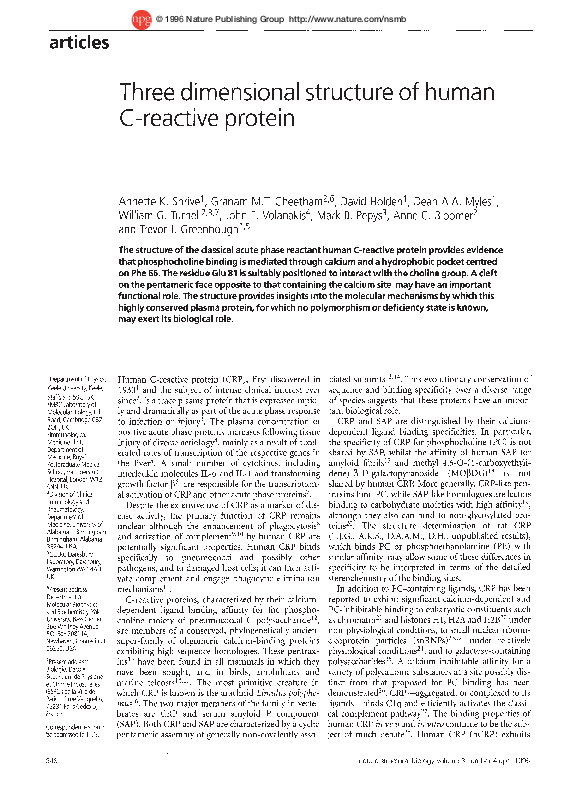 (PDF) Three dimensional structure of human C-reactive protein