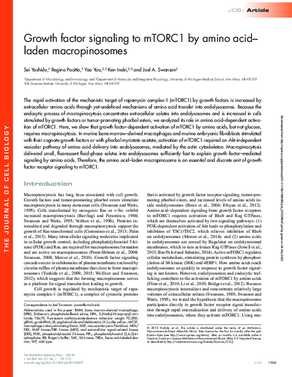 (PDF) Growth factor signaling to mTORC1 by amino acid–laden macropinosomes
