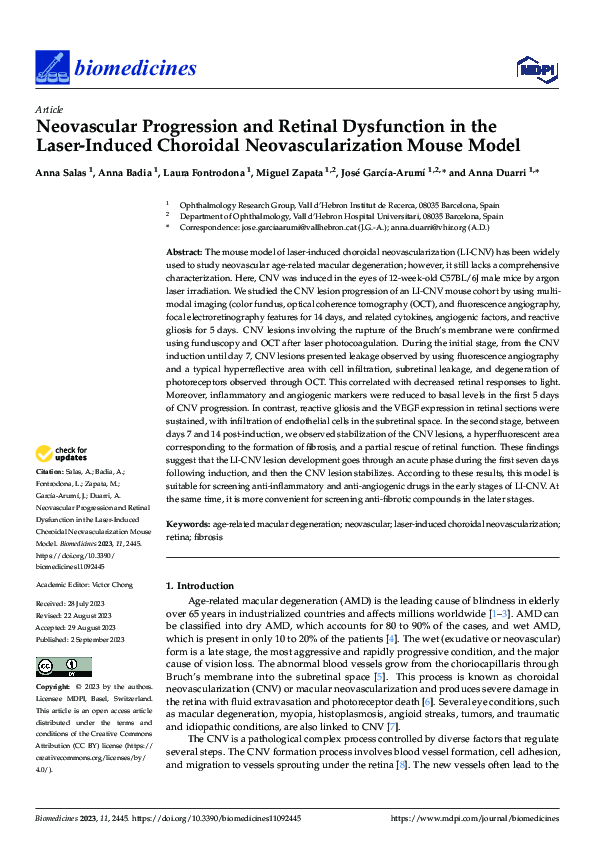 (PDF) Neovascular Progression and Retinal Dysfunction in the Laser-Induced Choroidal ...