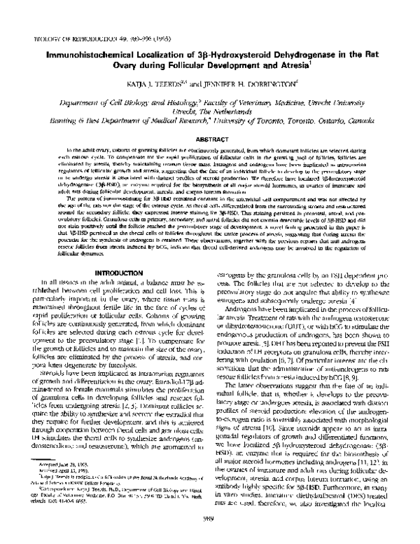 (PDF) Immunohistochemical localization of 3 beta-hydroxy-5-ene-steroid ...