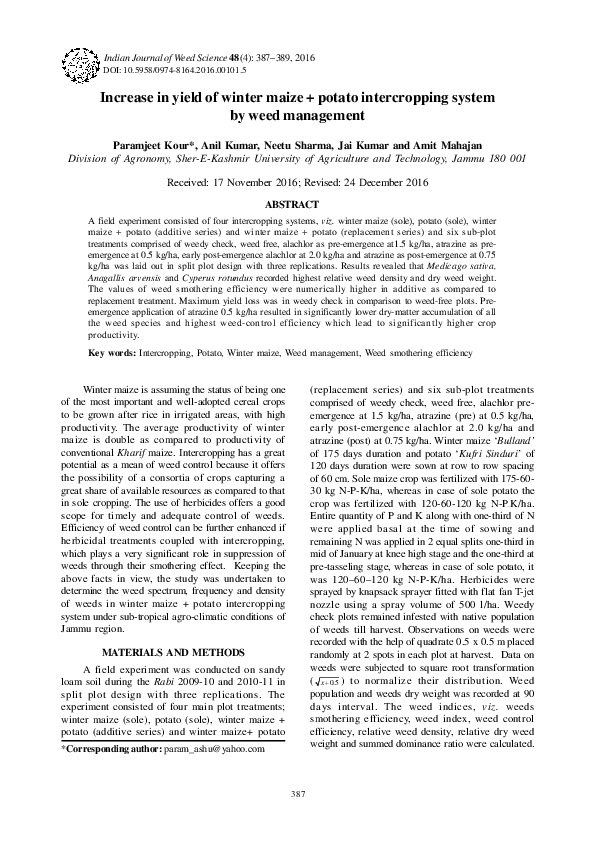 (PDF) Increase in yield of winter maize + potato intercropping system ...