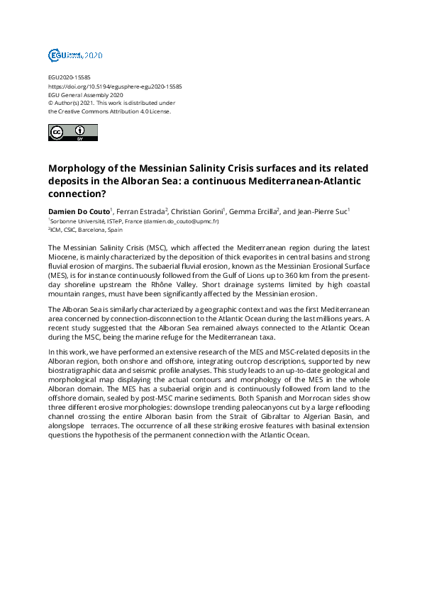 (PDF) Morphology of the Messinian Salinity Crisis surfaces and its ...