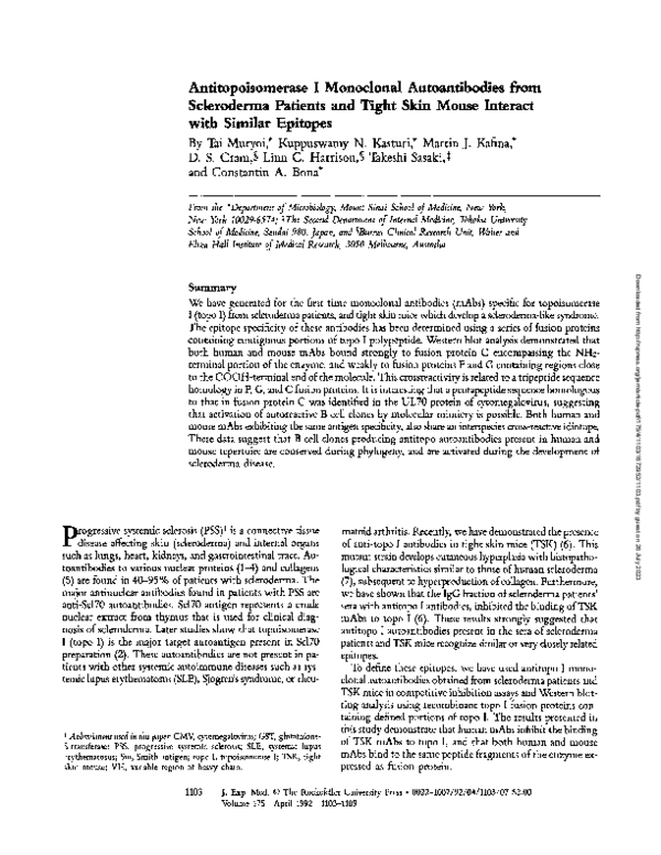 (PDF) Antitopoisomerase I monoclonal autoantibodies from scleroderma ...