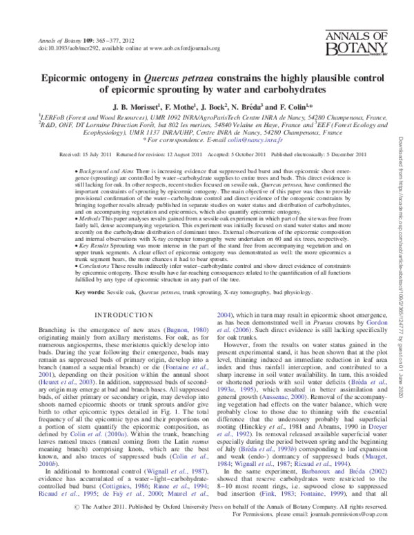 (PDF) Epicormic ontogeny in Quercus petraea constrains the highly ...