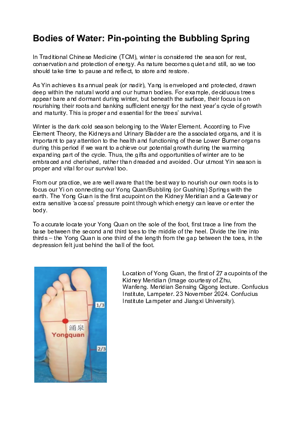 (PDF) Bodies of Water: Pin-pointing the Bubbling Spring