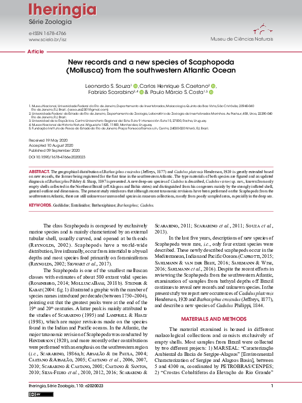 (PDF) New records and a new species of Scaphopoda (Mollusca) from the ...