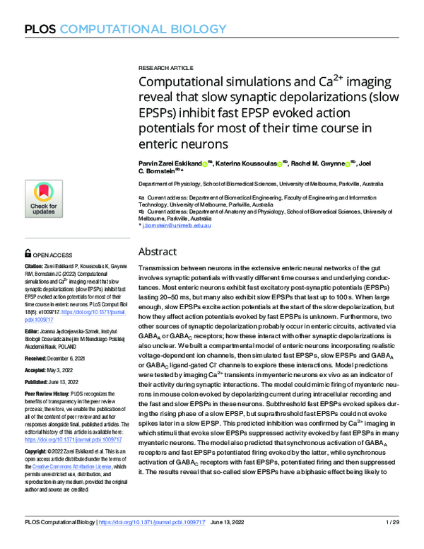 (PDF) Computational simulations and Ca2+ imaging reveal that slow synaptic depolarizations (slow ...