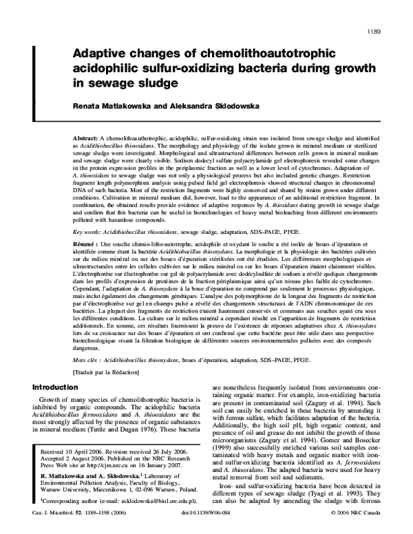 (PDF) Adaptive changes of chemolithoautotrophic acidophilic sulfur ...