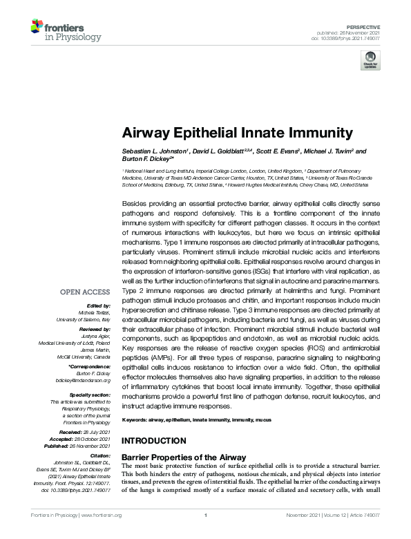 (PDF) Airway Epithelial Innate Immunity