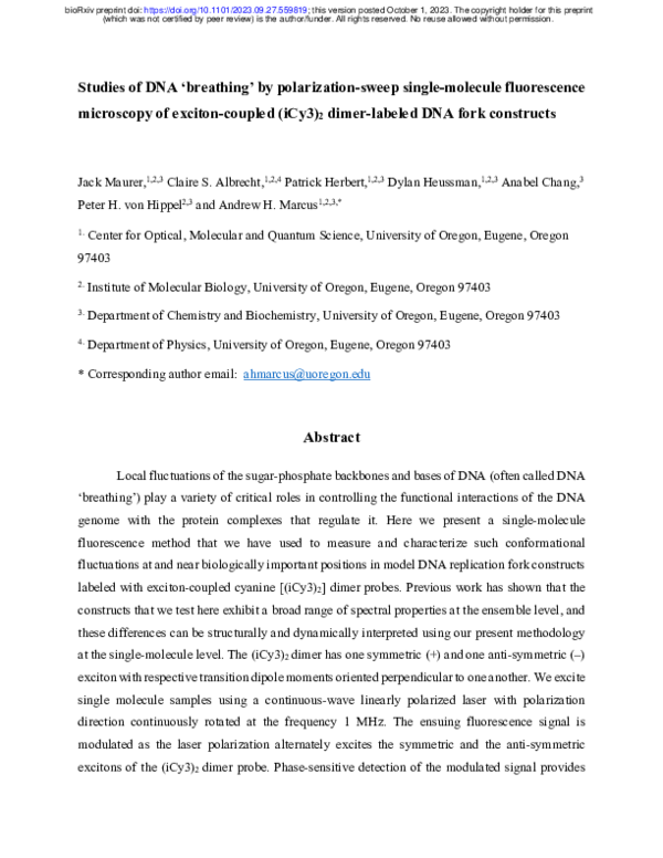 (PDF) Studies of DNA ‘breathing’ by polarization-sweep single-molecule fluorescence microscopy ...