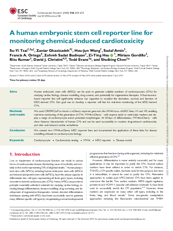 (PDF) A human embryonic stem cell reporter line for monitoring chemical ...