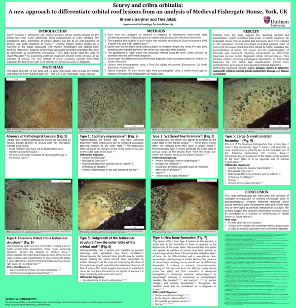 (PDF) Scurvy and cribra orbitalia: A new approach to differentiate ...