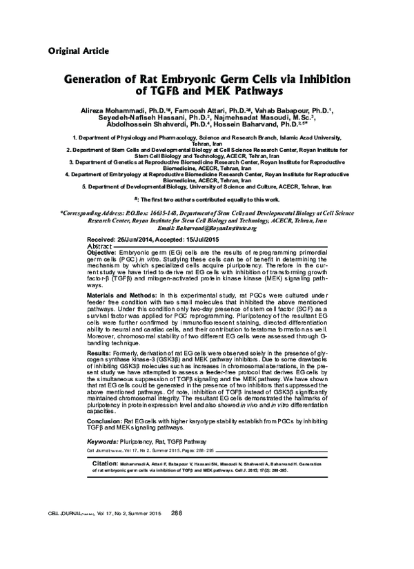 (PDF) Deriving Rat Embryonic Germ Cells by Pathway Inhibition
