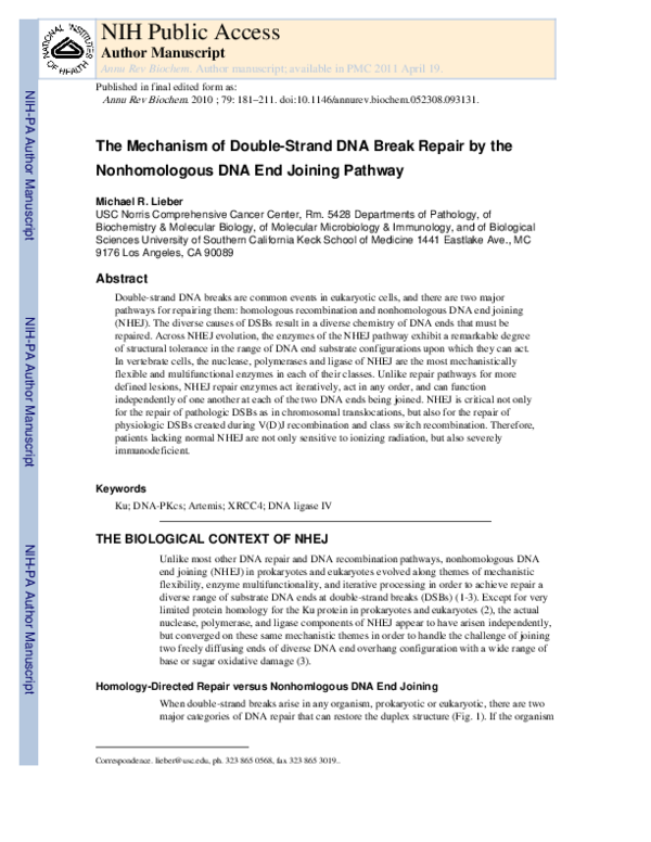 (PDF) The Mechanism of Double-Strand DNA Break Repair by the ...