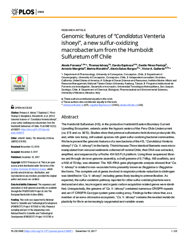 (PDF) Genomic features of "Candidatus Venteria ishoeyi", a new sulfur ...