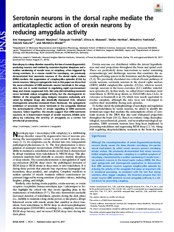(PDF) Serotonin neurons in the dorsal raphe mediate the anticataplectic ...