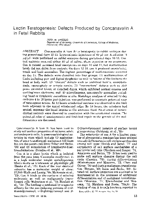 (PDF) Lectin teratogenesis: Defects produced by Concanavalin a in fetal ...