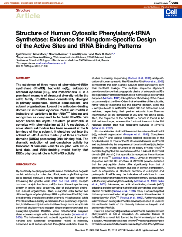 (PDF) Structure of Human Cytosolic Phenylalanyl-tRNA Synthetase ...