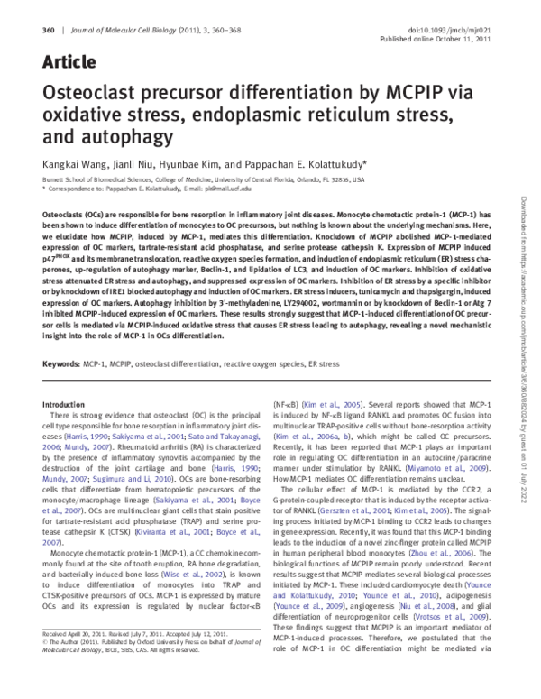 (PDF) Osteoclast precursor differentiation by MCPIP via oxidative ...